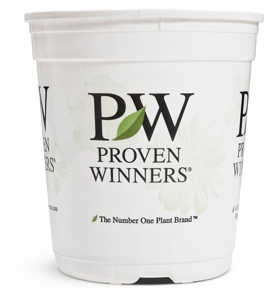 Proven Winners® Containers | Four Star Greenhouse