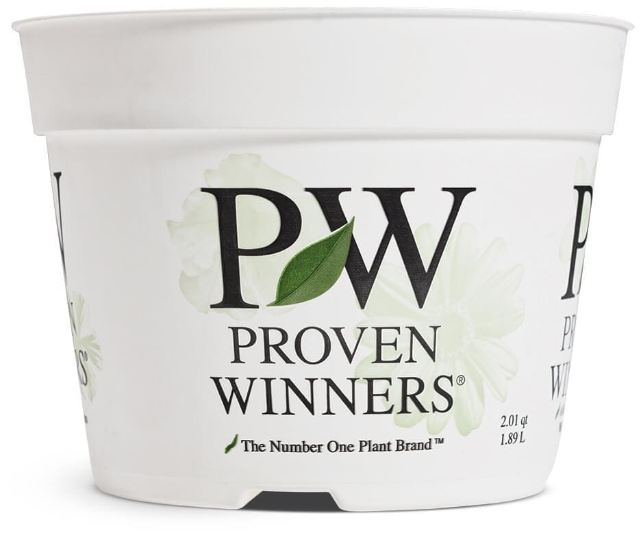 Proven Winners® Containers | Four Star Greenhouse