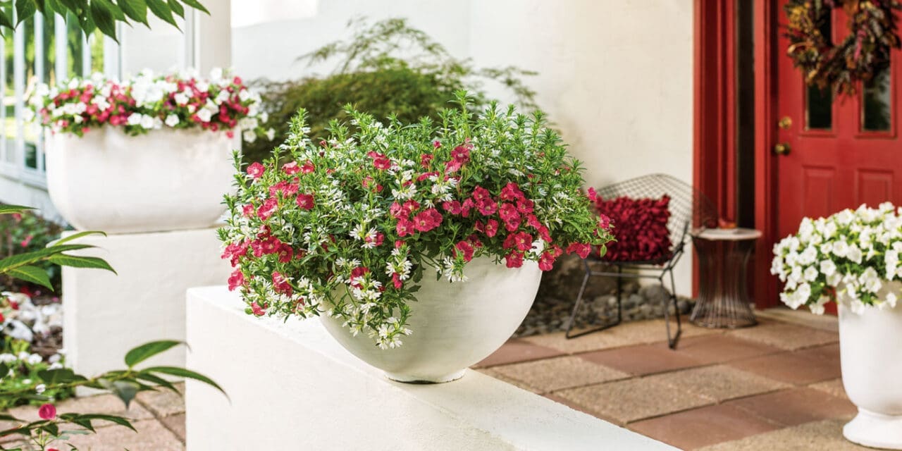 Floral Combinations | Proven Winners® | Proven Selections®