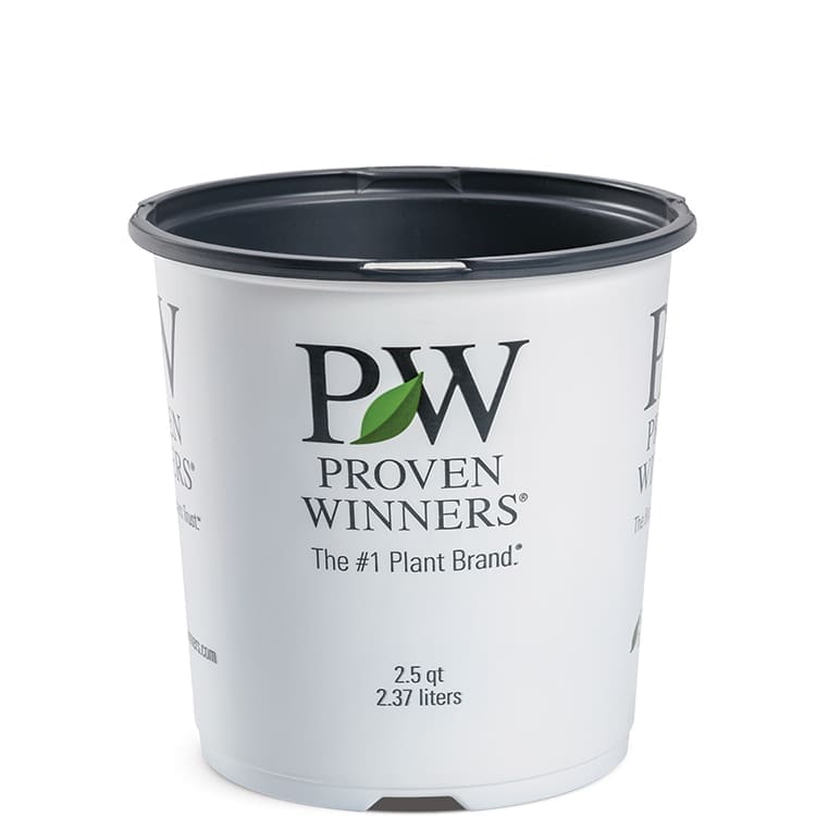 Proven Winners® Containers | Four Star Greenhouse